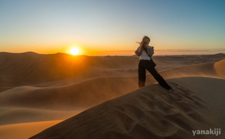 これが砂漠か！砂の脅威も感じるデューン7とフラミンゴラグーン | ナミビア旅行記 | yanakiji