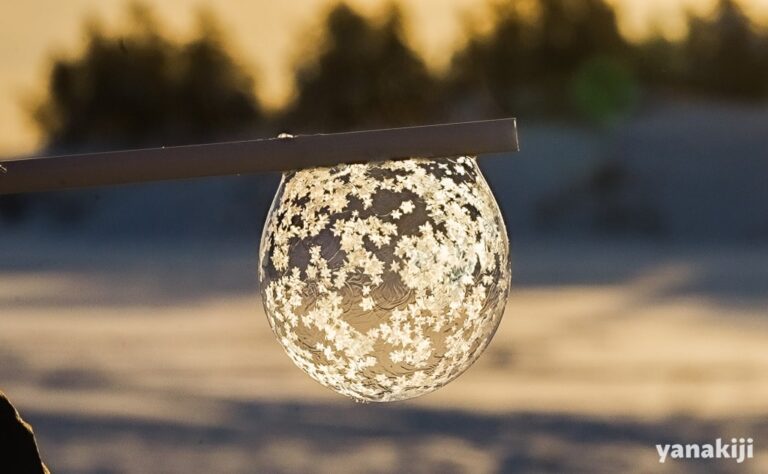 レンタカー(個人)でオーロラを見るって最高！マイナス32度のイエローナイフ | 冬のカナダ旅行記 | yanakiji