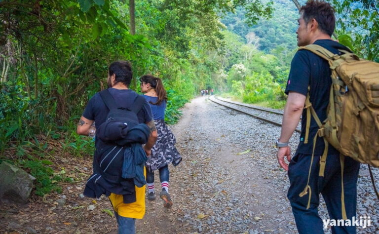 線路を歩く！スタンドバイミーコースでマチュピチュへ〜楽しい植物博士と共に〜 | 南米アンデス旅行記 | yanakiji
