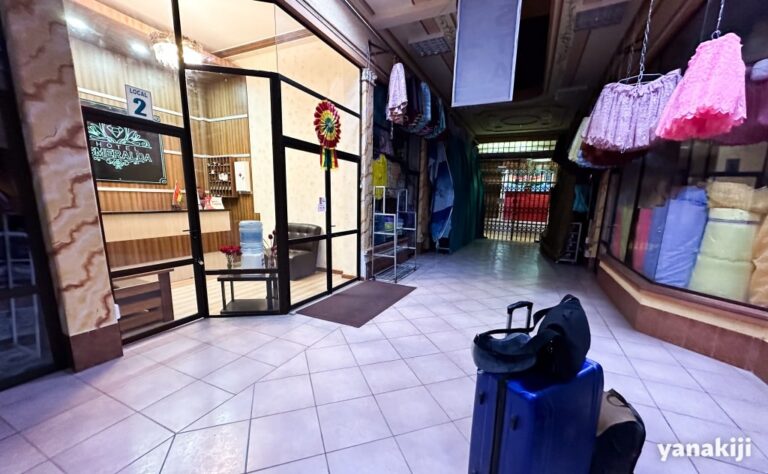 人生で1番辛かった…32時間のフライトでラパス→成田空港へ！ | 南米アンデス旅行記 | yanakiji